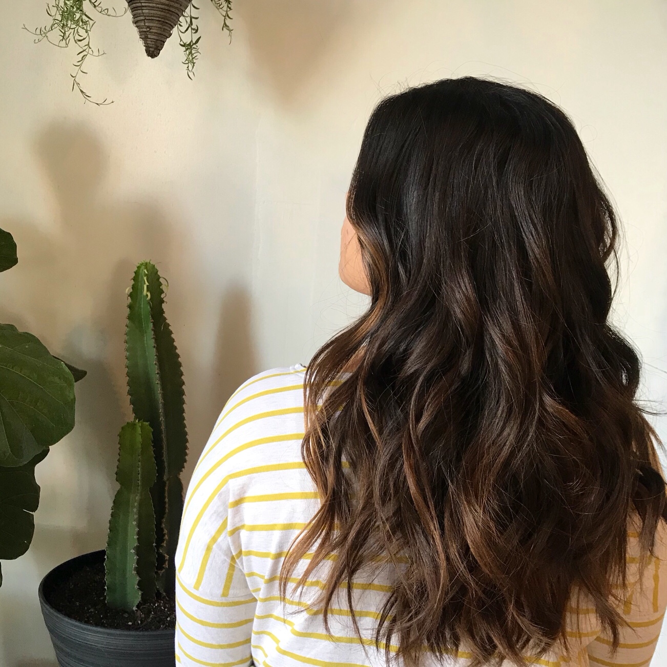 Abloom Salon In Phoenix AZ | Vagaro